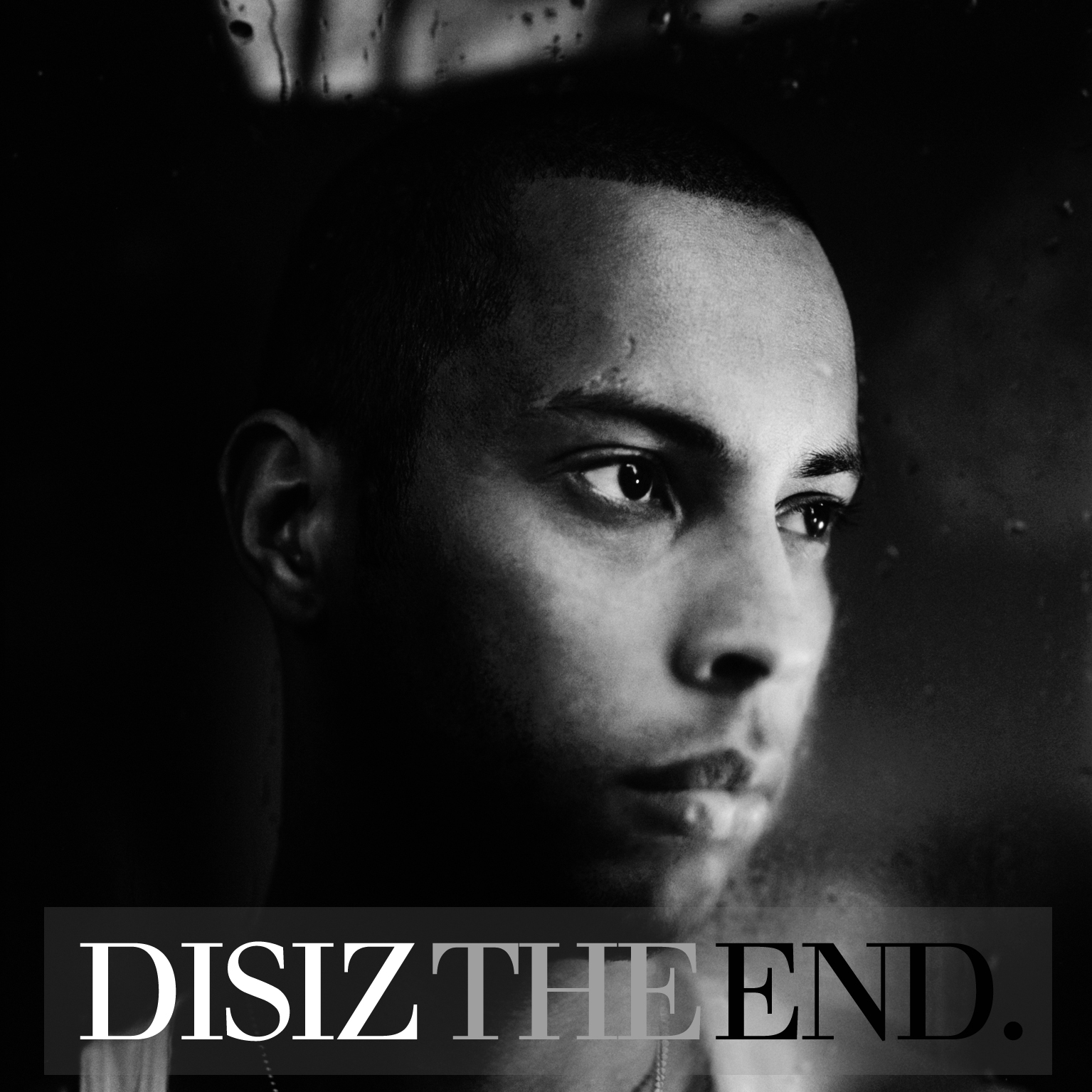 Disiz - Disiz the end - Chronique - Abcdr du Son